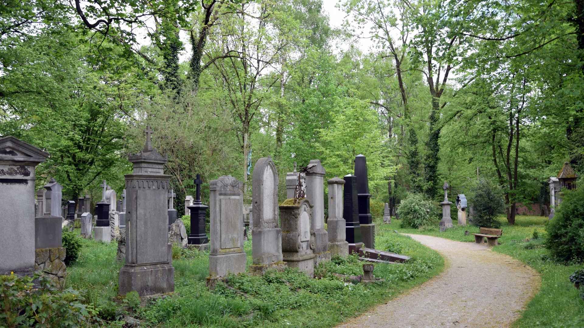 Die 25 Stadtbezirke Münchens – von Altstadt bis Aubing - Tipps-München.de